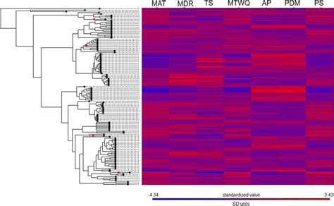 Phylogenetic Heat Map Showing Phylogenetic Relationships Among Species