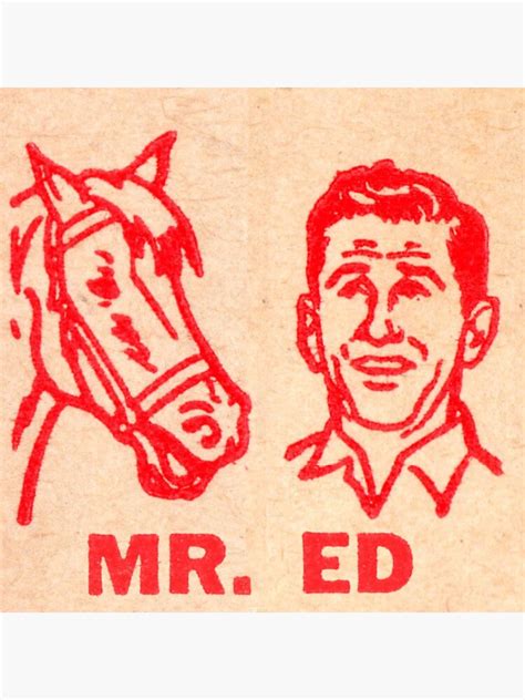 Mr Ed Sticker For Sale By Donkeh23 Redbubble