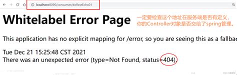 Nacos服务配置与运行中常见错误解析 Csdn博客