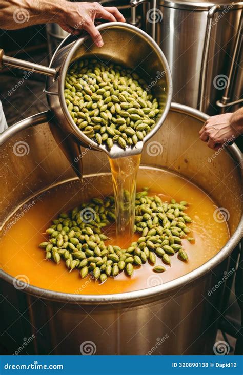 A Man Pouring A Bowl Of Green Beans Into A Large Pot Of Beer Stock