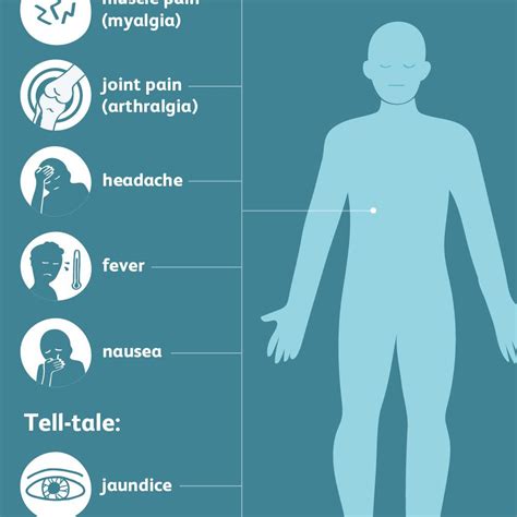 Hepatitis Signs Symptoms And Complications