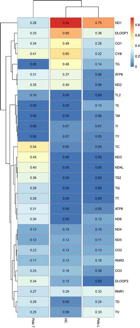 Heatmap Displaying Heteroplasmy Levels Of Different Mitochondrial