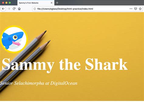 How To Add And Style A Title To Your Webpage With Html Digitalocean