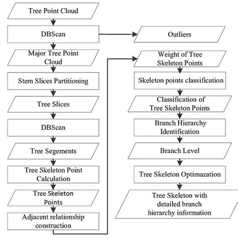 Flowchart Of The Presented Tree Skeletonization Method Download