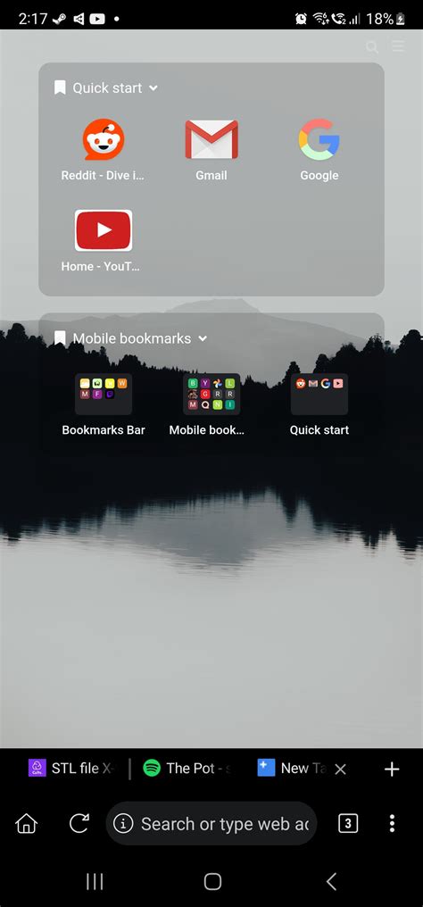 Kiwi Browser For Android Looking Clean Rbrowsers