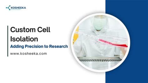 Exosome Isolation From Cell Culture Media Ppt