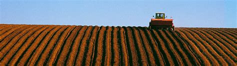 Optimal Seeding Rate Crop Science Us