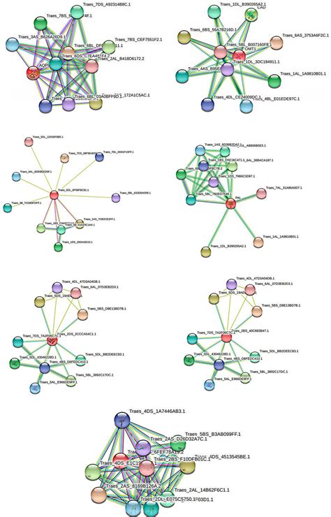 String Analysis Networking Showing The Interactions Of Download