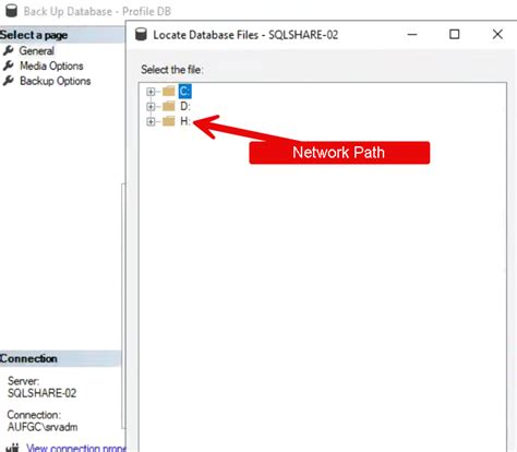 Make Network Path Visible For Sql Server Backup And Restore In Ssms