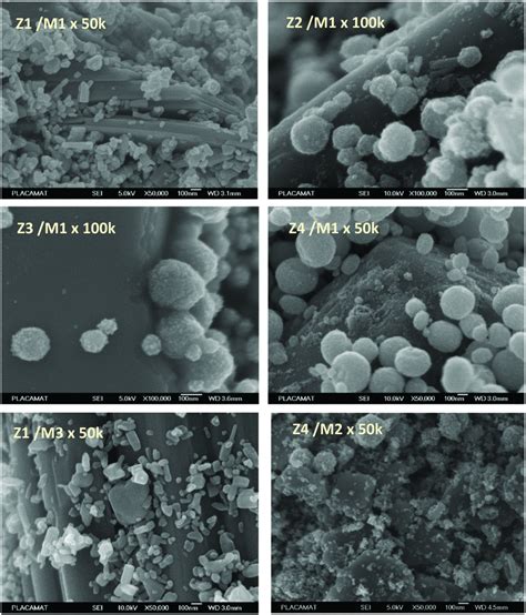 Sem Micrographs Of The 6 Reference “combined Materials” Download Scientific Diagram