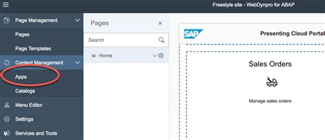 Sap Abap Central How To Add An Embedded Abap Webdynpro In Freestyle Portal