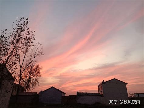 庭舍小记 知乎