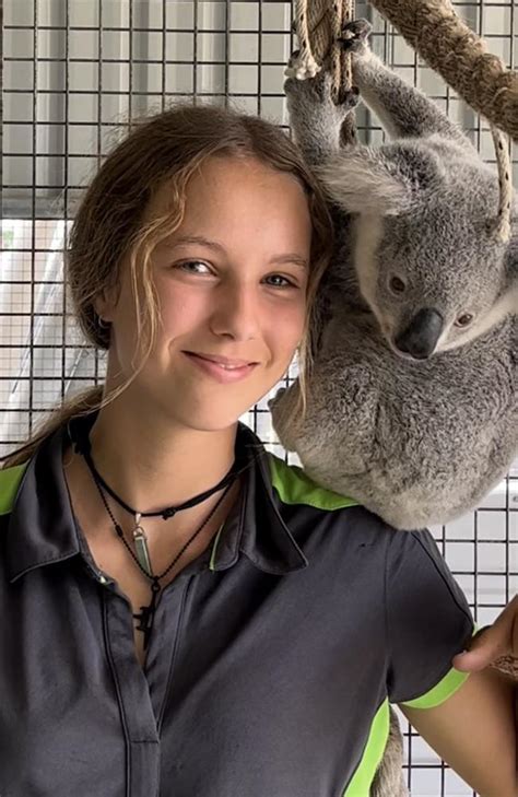 Magnetic Island Koala Hospital Hoping For A New Home After X Ray