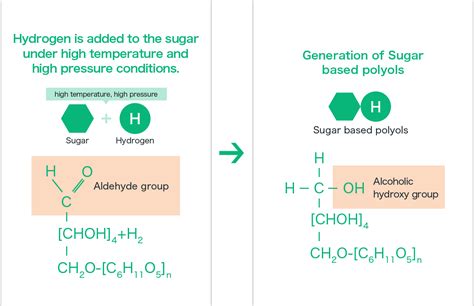 What Are Sugar Based Polyols B Food Science Co Ltd