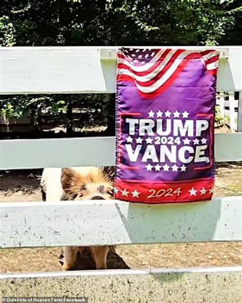 Airbnb Host Stunned After Guest Flees Stunning Farm At Sight Of Trump
