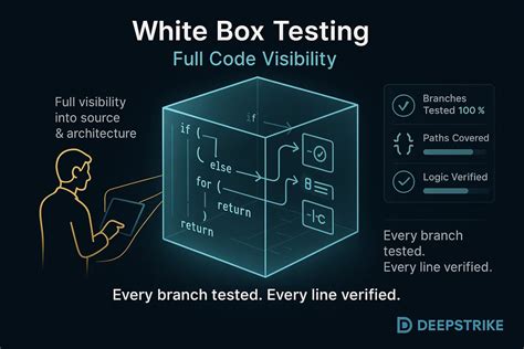 Black Box Vs White Box Testing Key Differences Explained