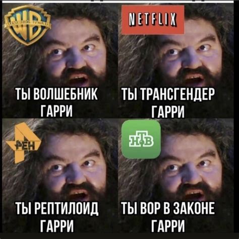 НТВ Рен Тв Хагрид Гарри Поттер Crossover Warner Brothers Телеканал Netflix