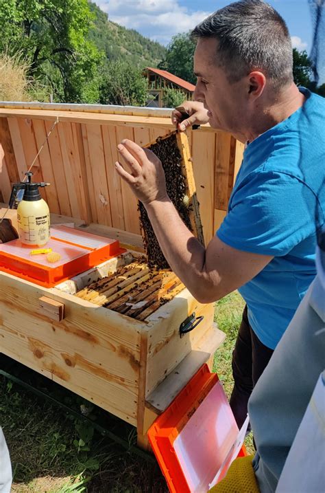 Д р Днес е Световен ден на пчелите 🐝 Честваме не само тези удивителни създания но и тяхната