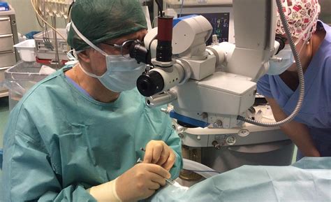 Ricerca Dalla Cornea Artificiale Alla Cibernetica Oculare