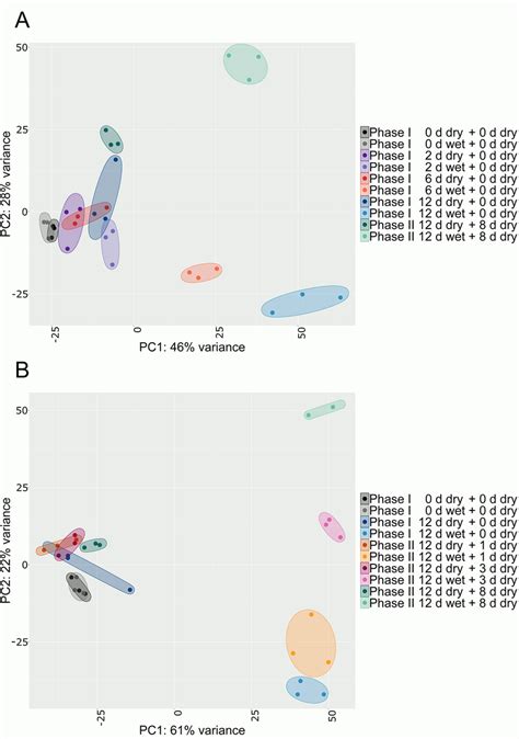 Variability Between Biological Replicates In The Rna Seq Datasets