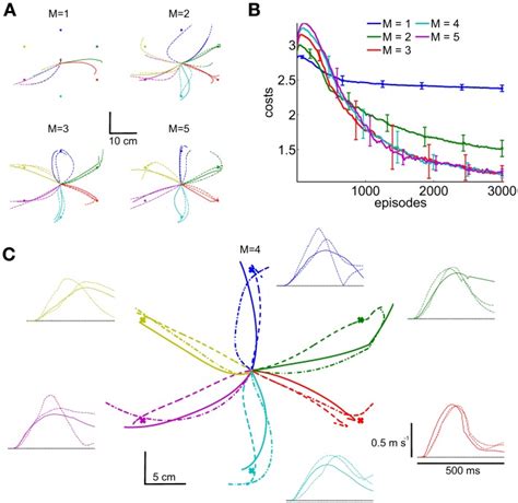 Learning Multi Directional Reaching Movements We Evaluated Five Download Scientific Diagram