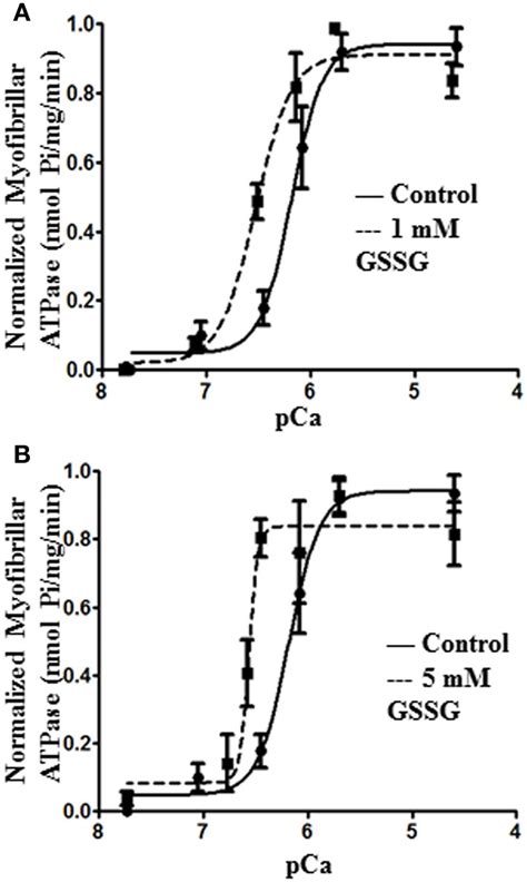Myofibril Pca Atpase Activity Of Control And Gssg Treated Samples Download Scientific Diagram