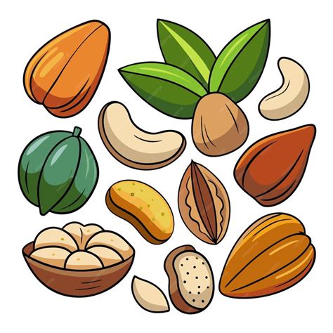 A Set Of Different Nuts Clipart Cartoon Style Vector Illustration