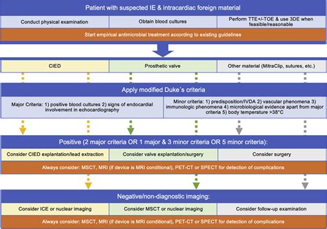 Possible Diagnostic Algorithm For Patients With Suspected IE And Download Scientific Diagram