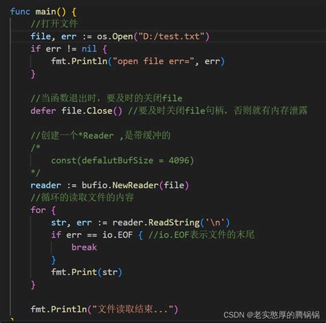 Golang文件操作指南：读写、复制与判断 Csdn博客