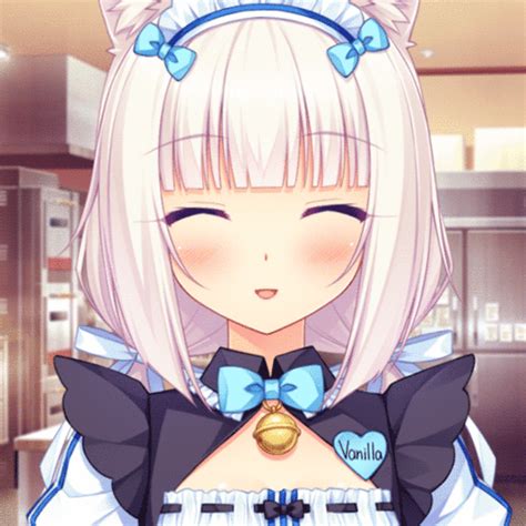 Image Nekopara Know Your Meme