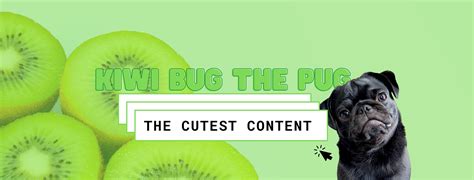 Kiwi Bug The Pug