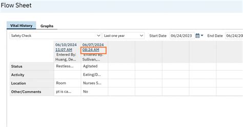 Safety Check And Flowsheet Documentation 2023 Calmhsa