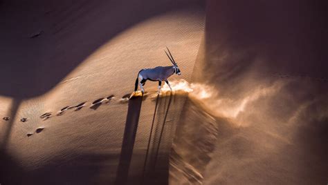 Art Wolfe Nature And Cultural Photography 1 888 973 0011
