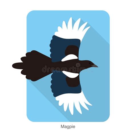 Magpie Bird Flying In The Sky Vector Illustration Stock Vector