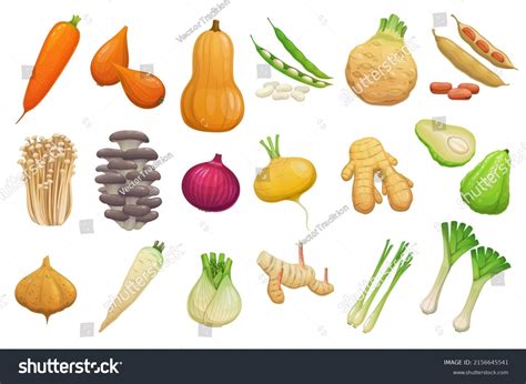 Stem Vegetables