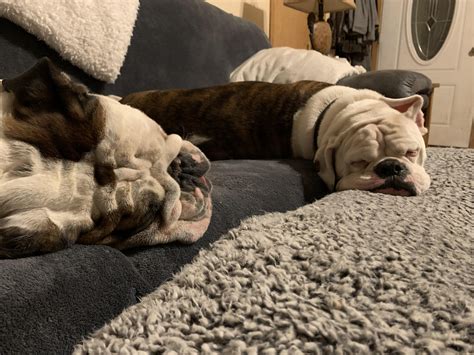 Double Squishy Scrolller