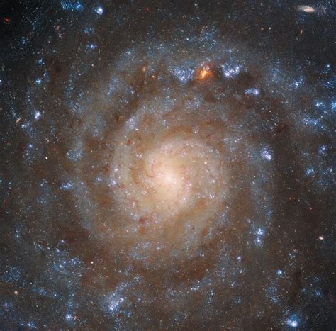 James Webb Telescope Reveals The Bones Of A Distant Galaxy In