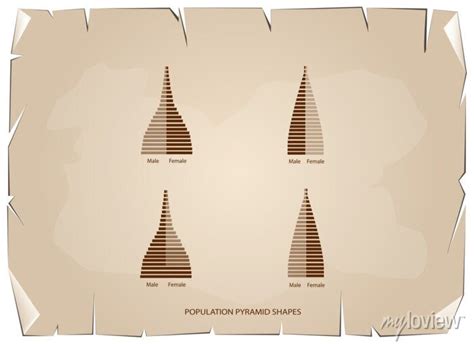 The 4 Types Of Population Pyramids Graphs Posters For The Wall
