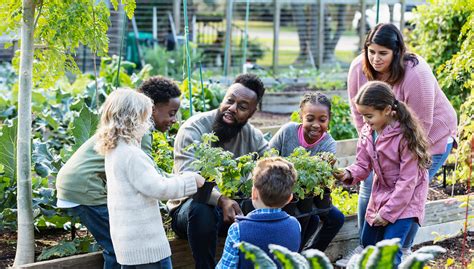 What Is Agrihood — Kinsland