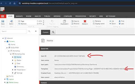 Implementing Nextjs Application With Sitecore Sxa Headless Ramiros