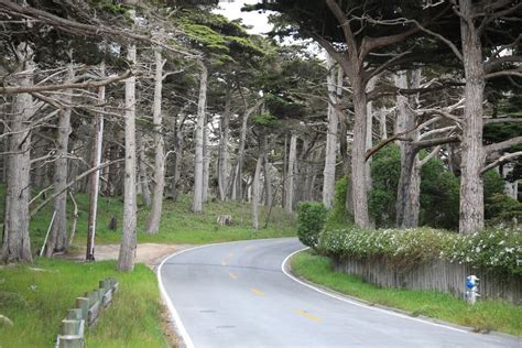 17 Mile Drive Stops Best Attractions Viewpoints And Places To Visit