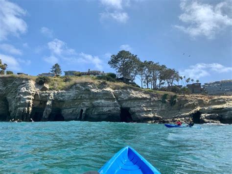 La Jolla Sea Caves Ultimate Guide For Visitors