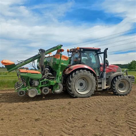 Svako Sjeme Savršeno Pristaje Uz Amazone Precea 4500 2cc