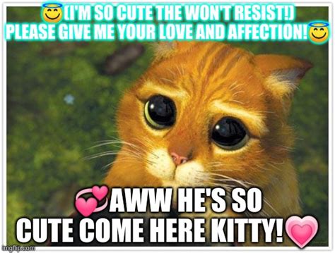 Aww So Sweet Meme