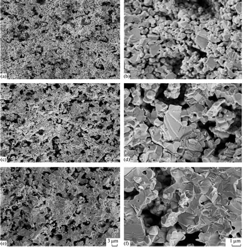 Microstructure In Cross Sections Of One Layer Supports Prepared From