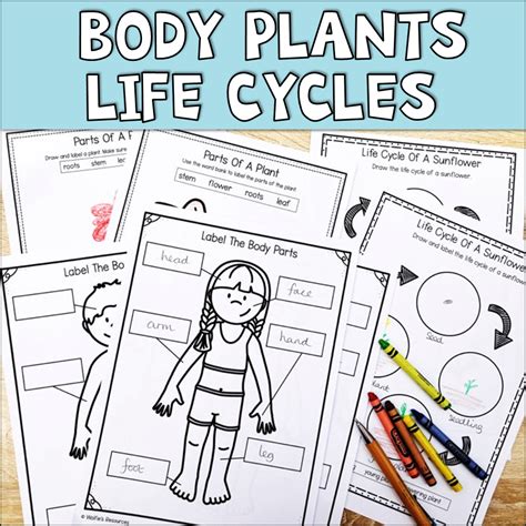 Free Science Review Worksheet Download Free Science Review Worksheet
