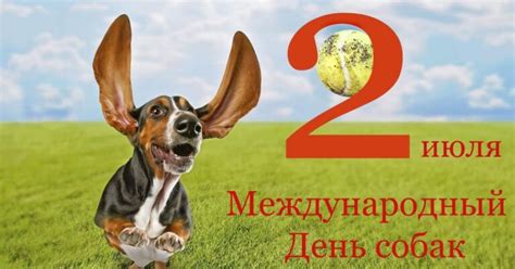 2 июля ДЕНЬ СОБАКИ 🐶🐾 красивые открытки Поздравления с Днем собак трогательные стихи про
