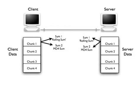 The Rsync Architecture Download Scientific Diagram