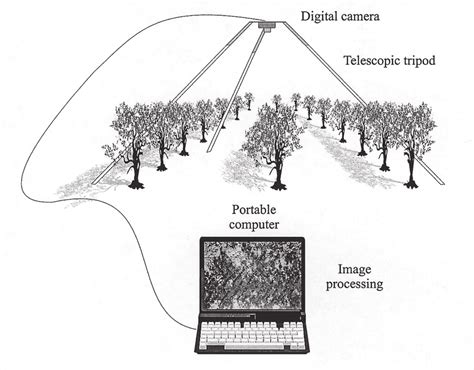 Photographic Sampling Procedure Download Scientific Diagram