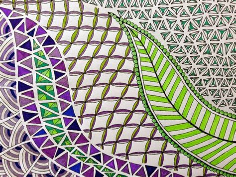 Zentangle Coloring Page Printable Fern Leaf Plant Coloring Abstract Zendoodle Instant Download